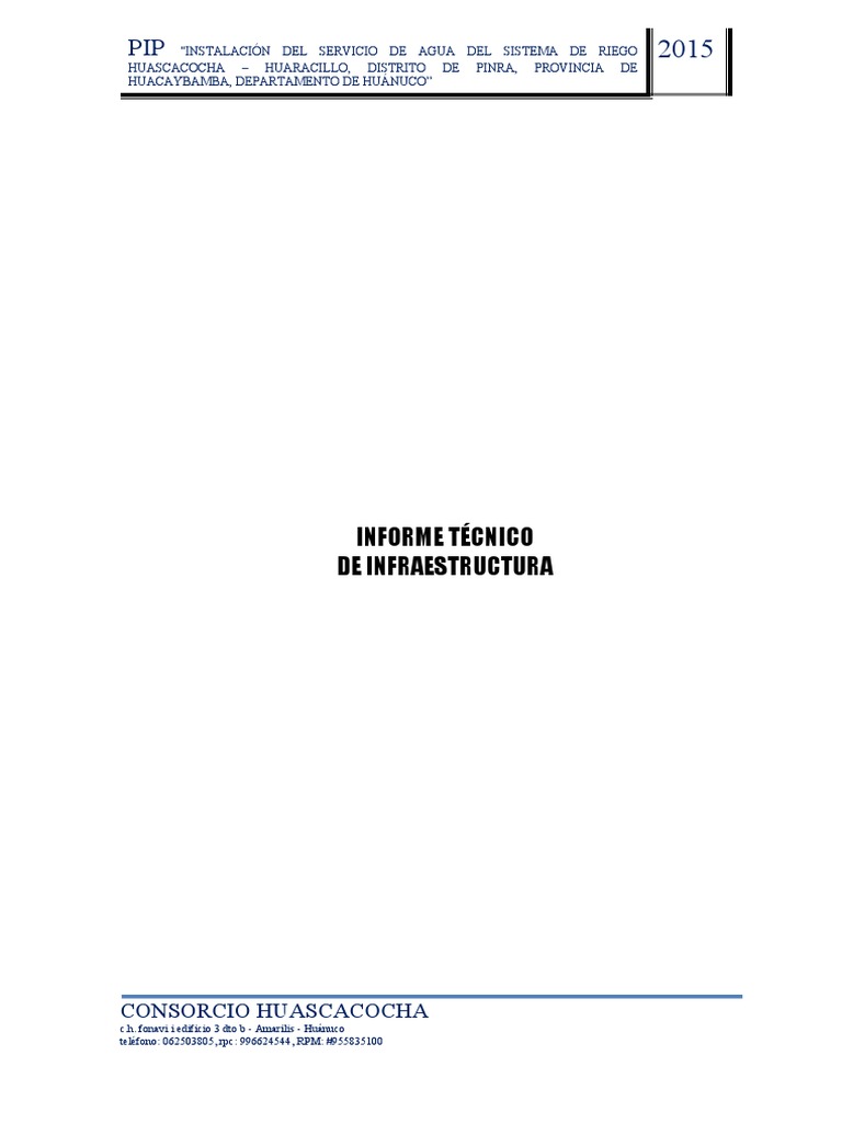 Informe Tecnico - Pinra | PDF