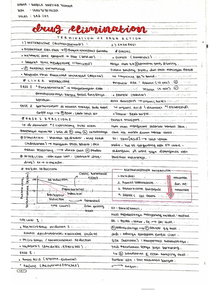 Farmakokinetik 2 - 3A2 - Nabila Kartika Yumna | PDF