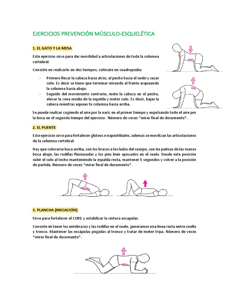 3 Ejercicios 16-03 | PDF | Anatomía humana | Sistema musculoesquelético