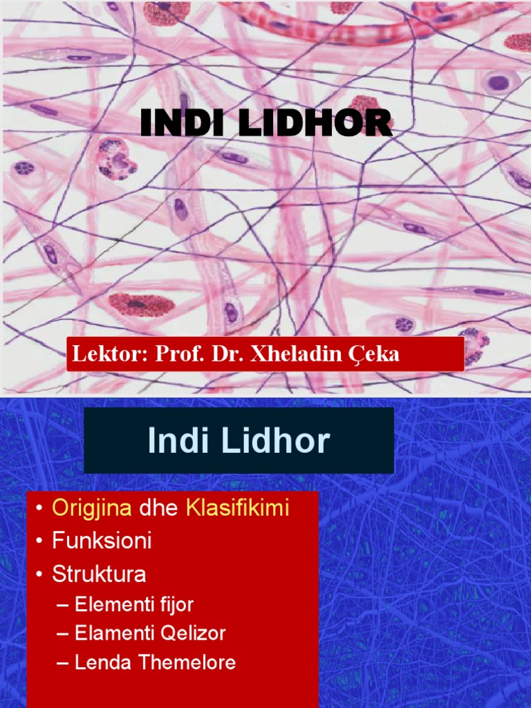 Kap 14.indi Lidhor Histologji | PDF