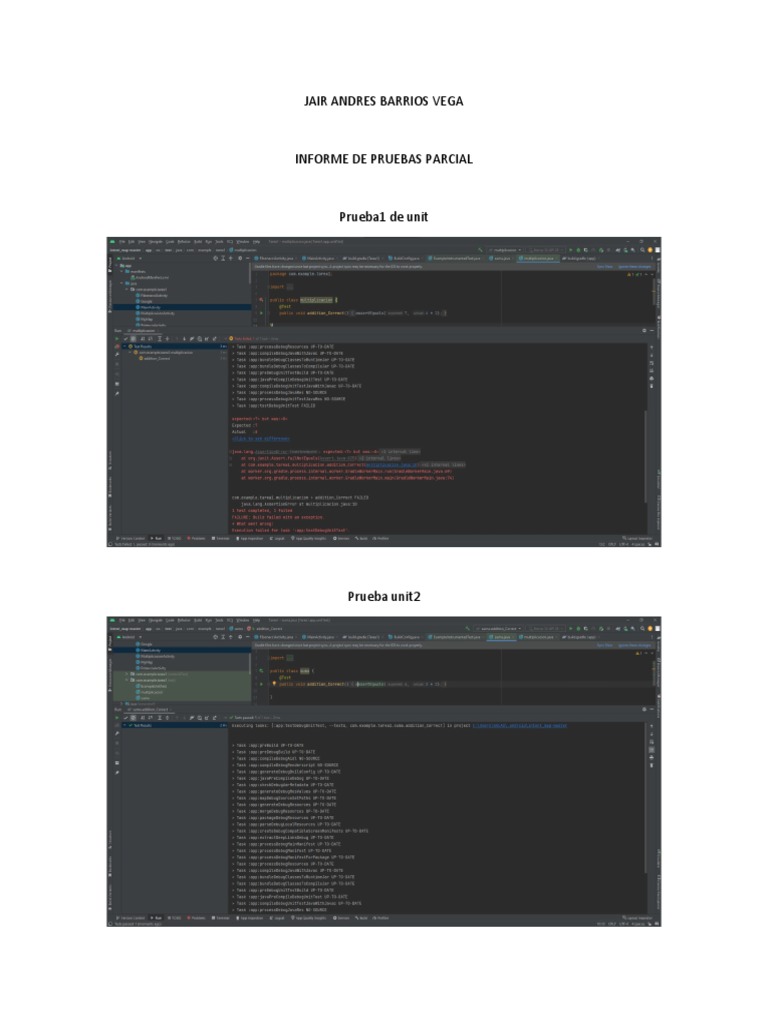 Informe de Pruebas de Jair Barrios | PDF