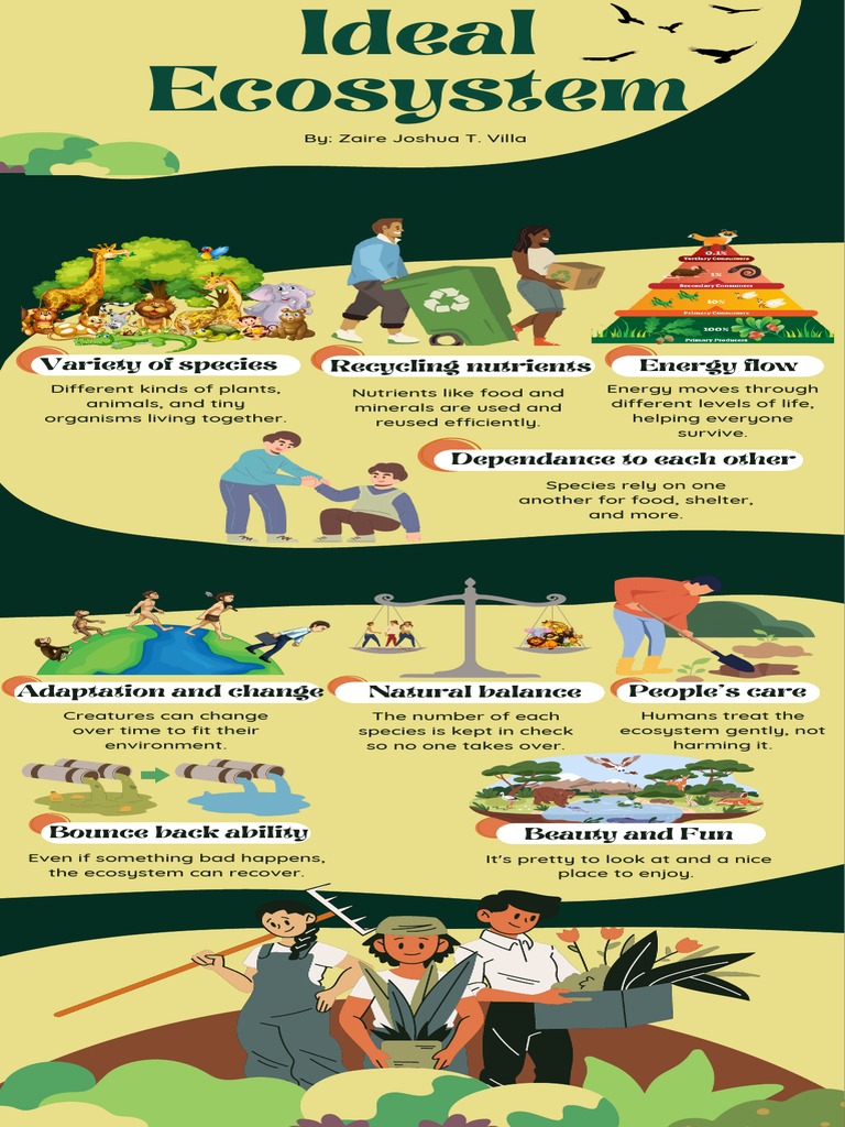 Ideal Ecosystem | PDF