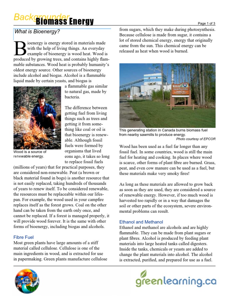 Biomass Energy: A Renewable Overview | PDF