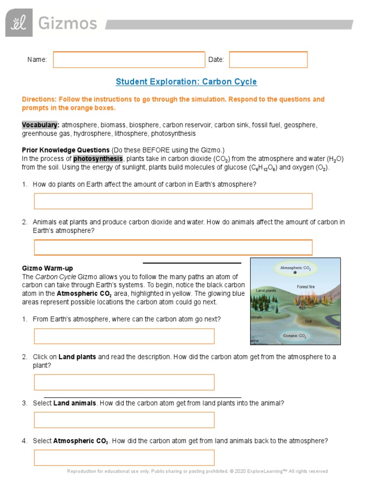 Carbon Cycle SE | PDF