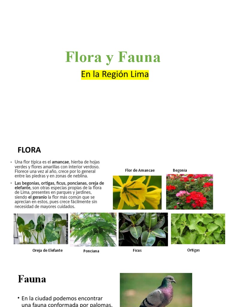 Flora y Fauna | PDF