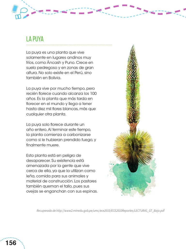 La Puya: Maravilla Andina en Peligro | PDF