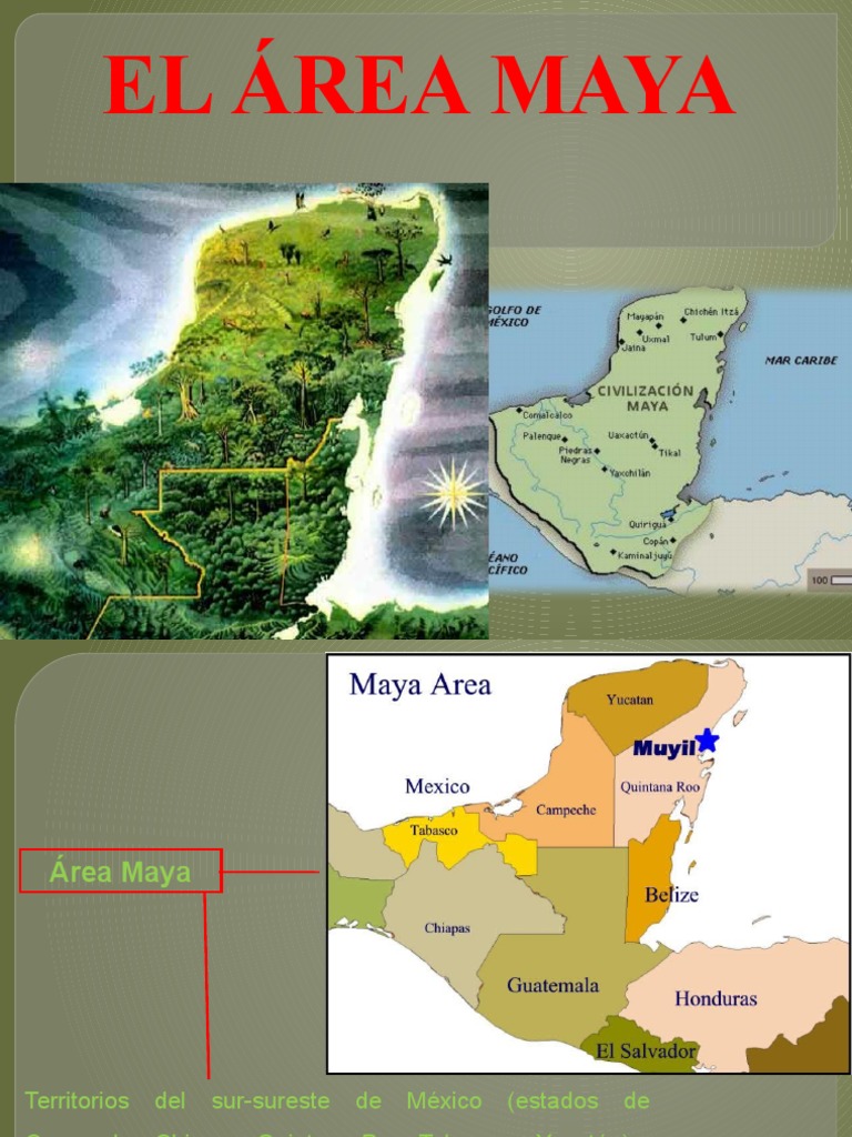 Clase Área Maya | PDF | Civilización maya | Agricultura