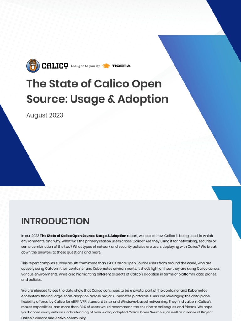 Calico Open Source Usage Adoption Report 2023 | PDF | Cloud Computing | Security