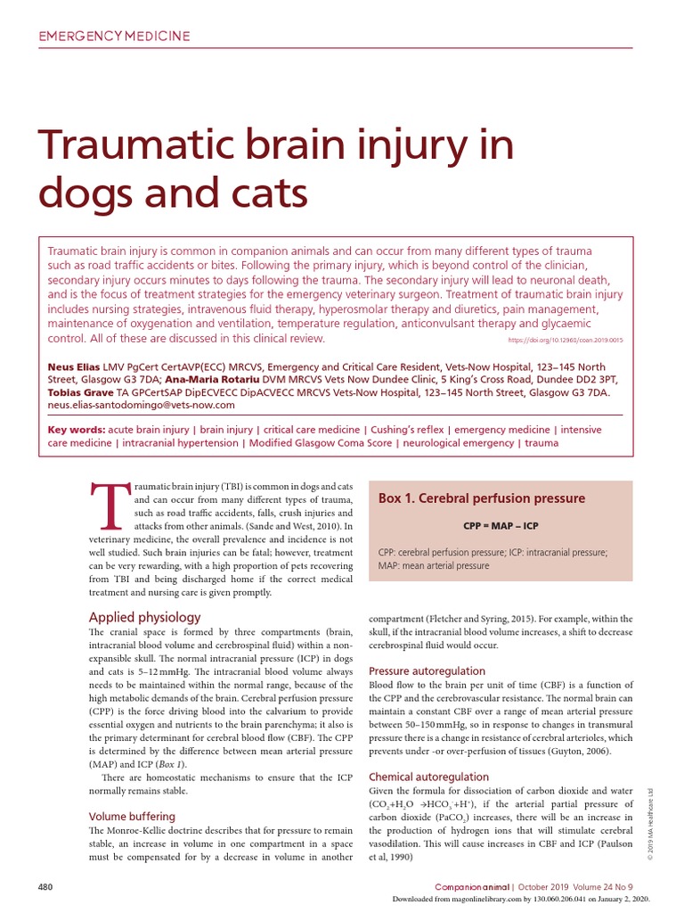 Traumatic Brain Injury in Dogs and Cats: Emergency Medicine | PDF ...