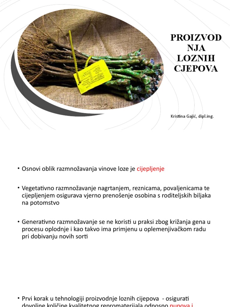 Proizvodnja Reznica I Cijepova | PDF