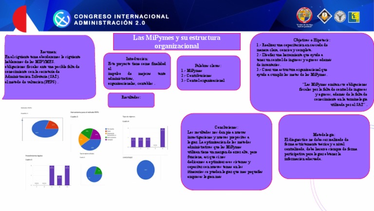 Las Mipymes y Su Estructura Organizacional | PDF