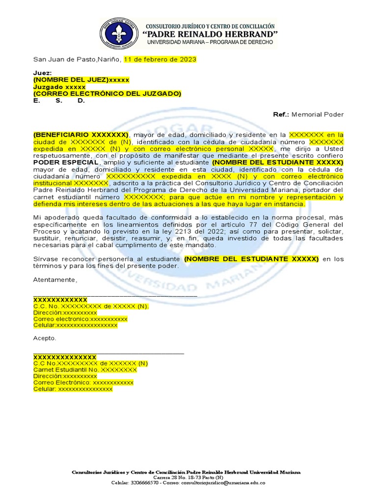 Poder Especial Juzgados y Entidades | PDF