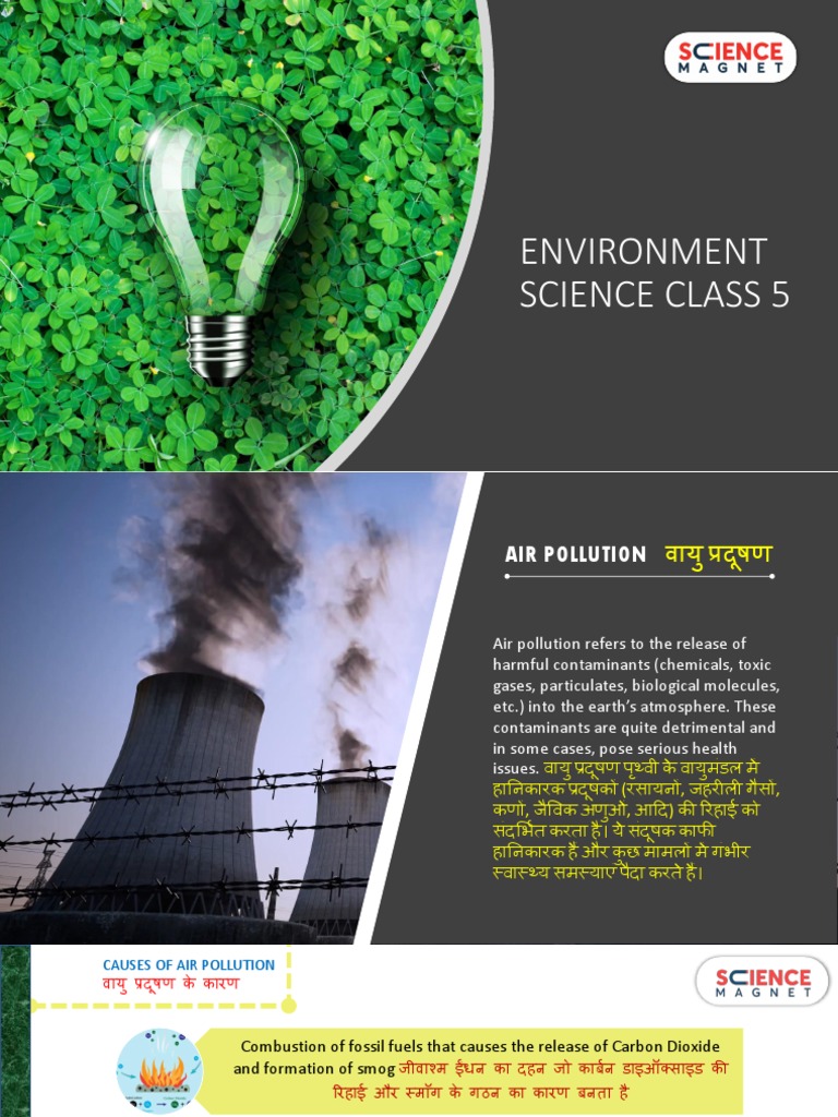 Environment_Class_5__20230729115056 | PDF