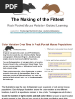 Rock Pocket Mouse Color Variation Study | PDF | Mouse | Natural Selection