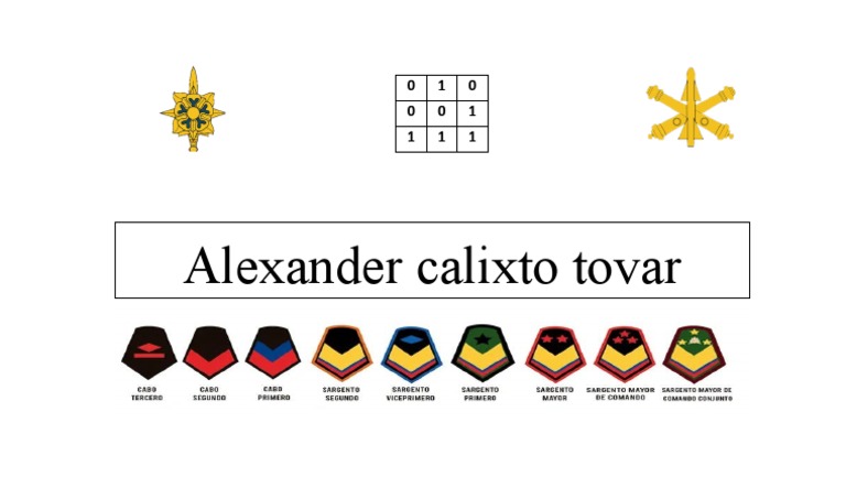 Alexander Calixto Tovar | PDF