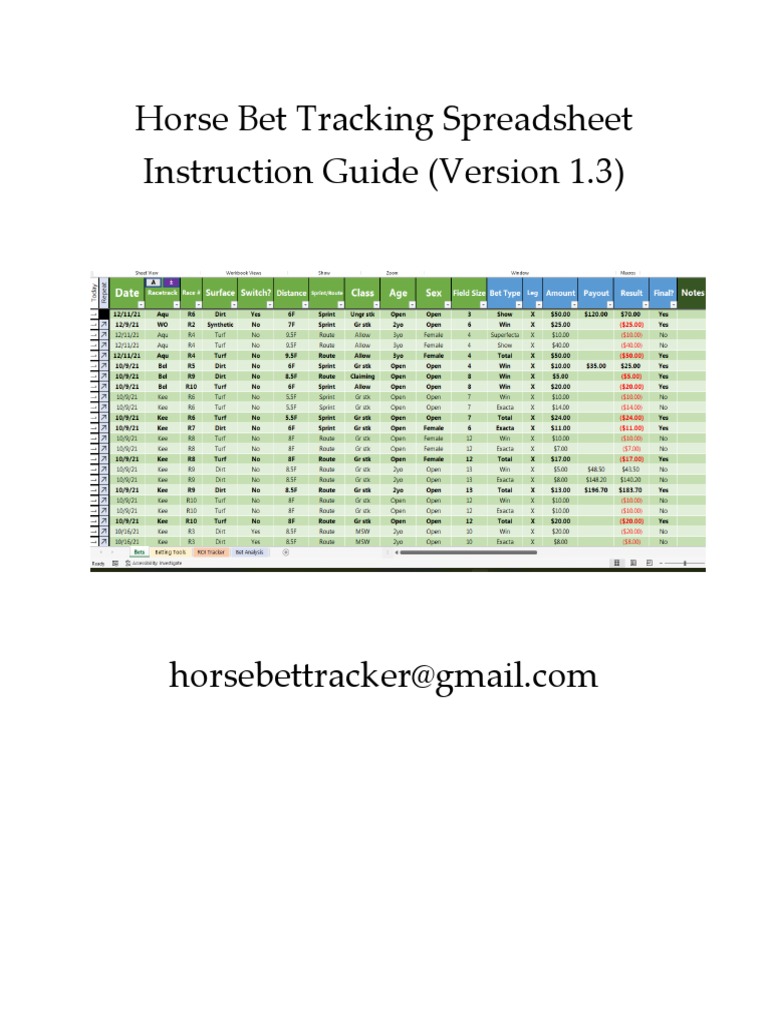 Horse Bet Tracking Spreadsheet Instruction Guide 1.3 | PDF | Odds ...