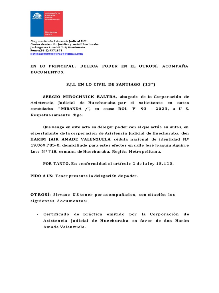 Modelo Delega Poder | PDF