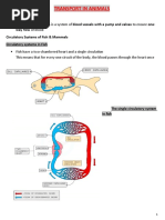Vascular Plug - Abbott - Amplatzer Vascular Plug | PDF | Interventional ...