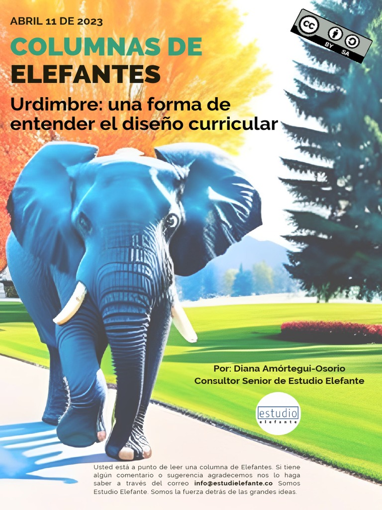 La Urdimbre Una Forma de Entender El Dise o Curricular 1681925467 | PDF | Plan de estudios ...