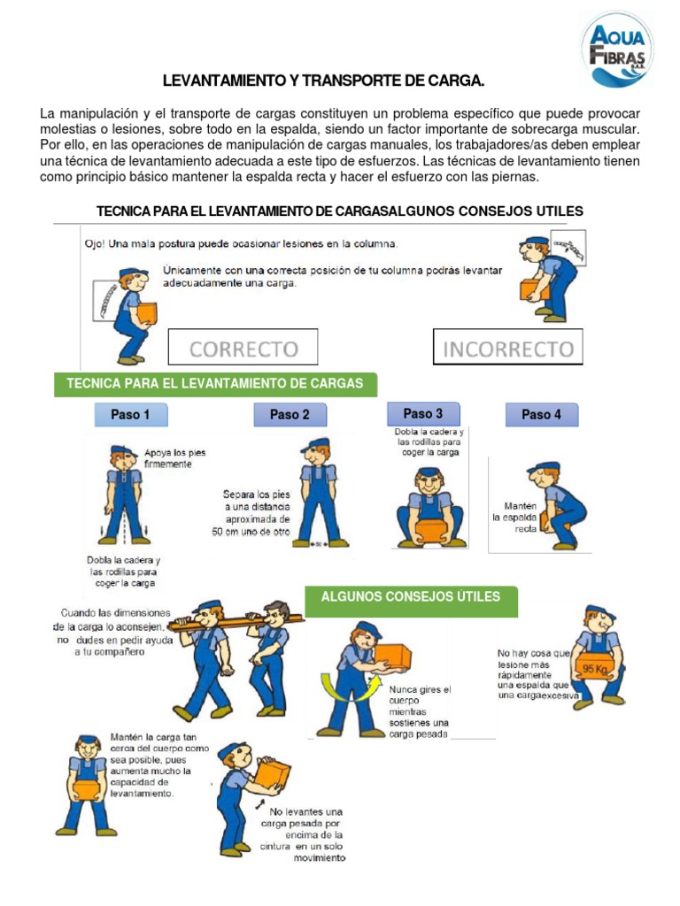 Levantamiento de Cargas | PDF