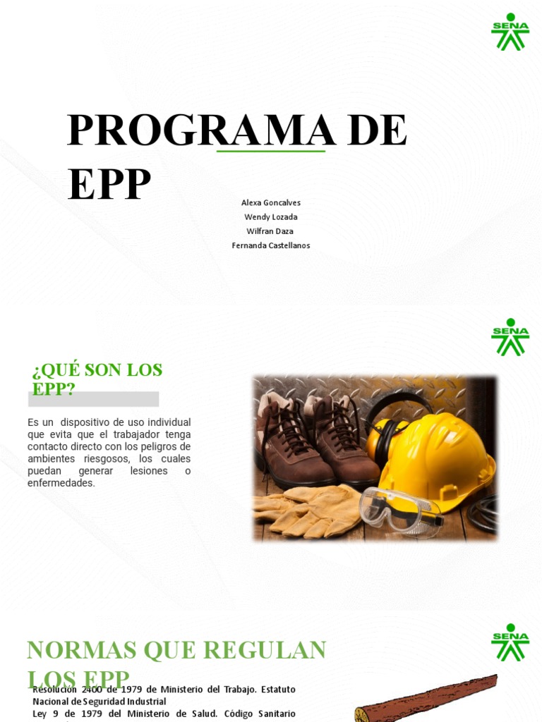 PROGRAMA DE EPP 2 (2) | PDF