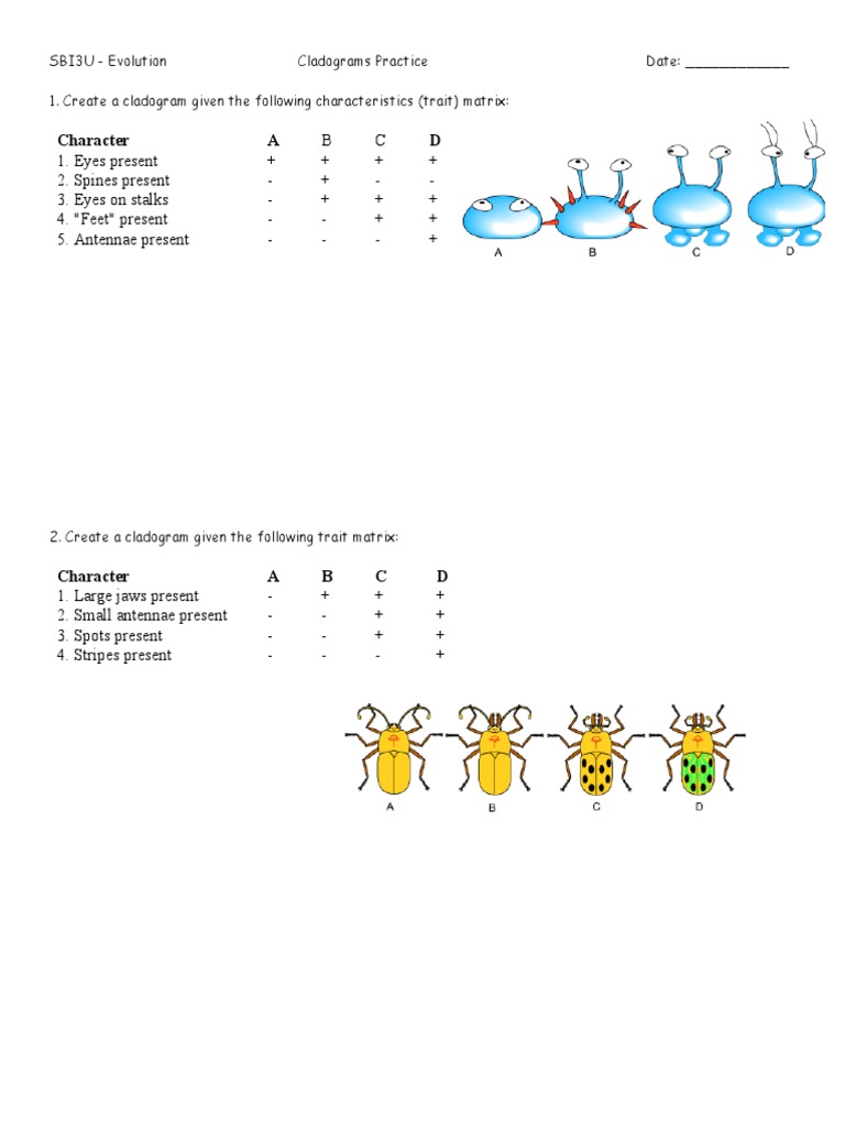 7 - Cladograms Practice 1 | PDF