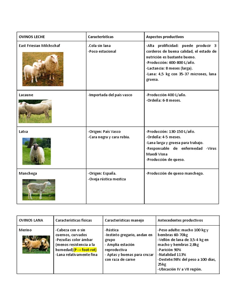 Tablas Razas | PDF | Oveja | Lana
