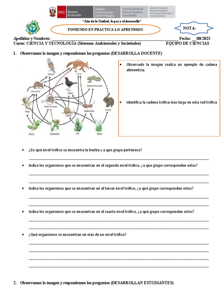 Actividad Cadenas y Redes Troficas Aplicar Dia 2 | PDF | Red ...