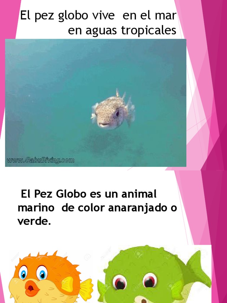 El Pez Globo | PDF