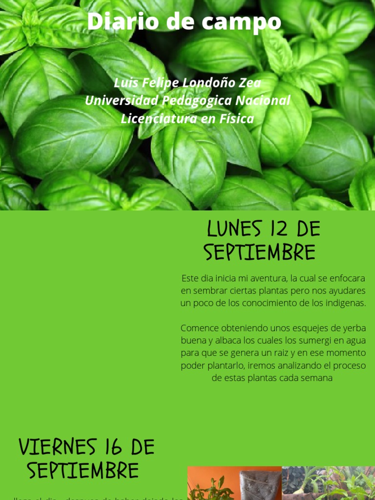 Diario de Cultivo de Plantas | PDF | Plantas