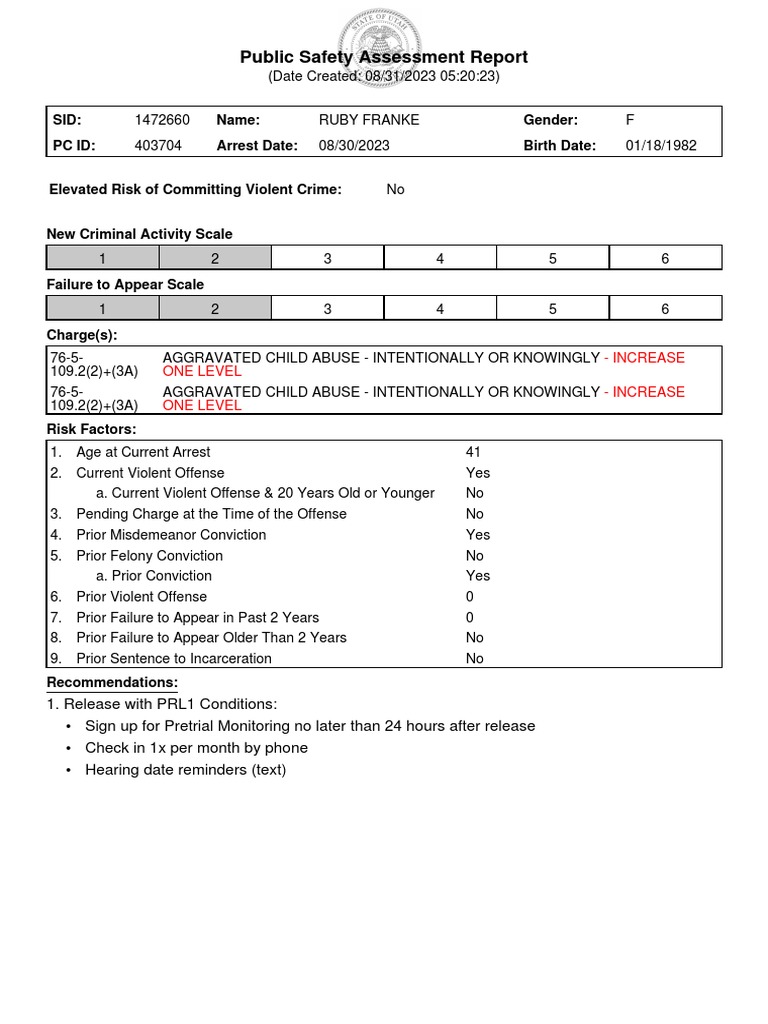 Public Safety Assessment Report | PDF | Crime & Violence | Law Enforcement