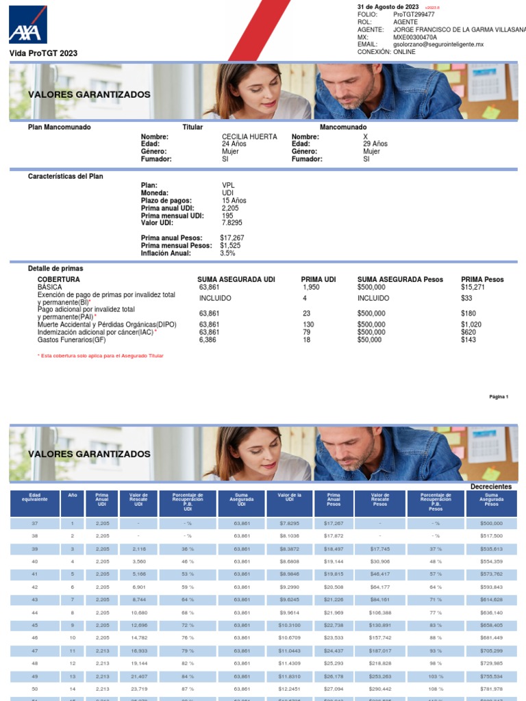 Formato VPL Axa | PDF