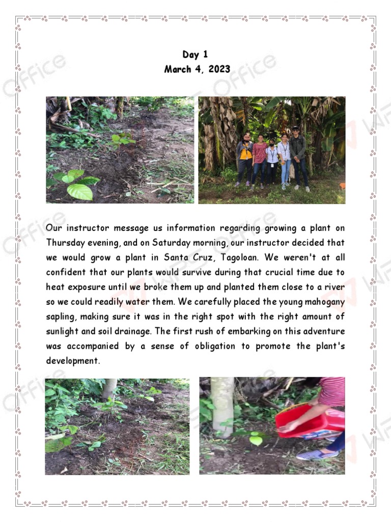 NSTP Growing A Plant | PDF | Science & Mathematics