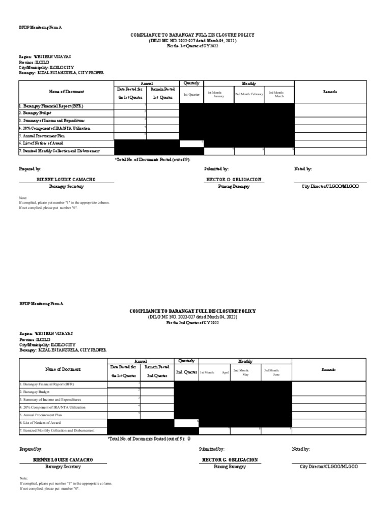 Brgy.-Rizal-Estanzuela-BFDP_Monitoring_Form-A | PDF | Government