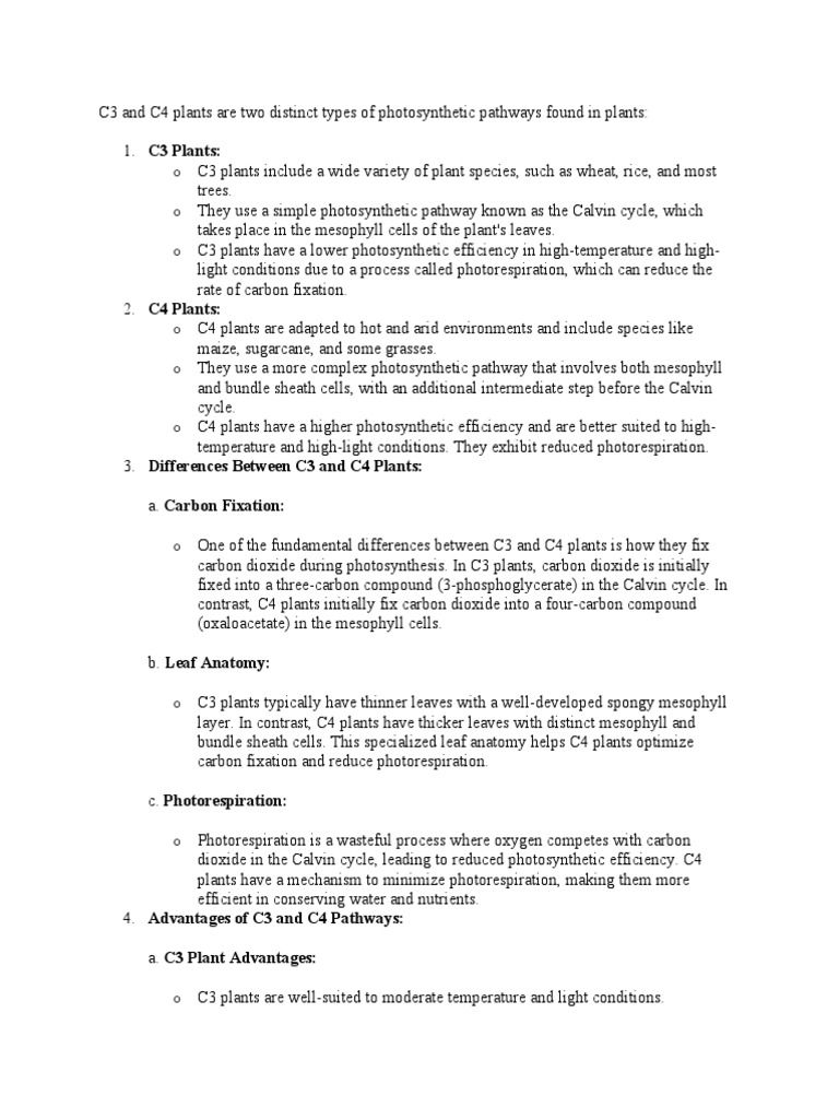 c3 and c4 Plants | PDF | Photosynthesis | Leaf