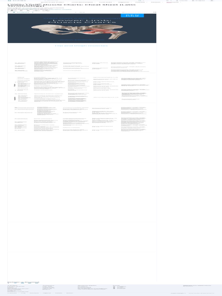 Lower Limb: Muscle Charts: Cheat Sheet (Latin Terminology) | PDF | Foot ...