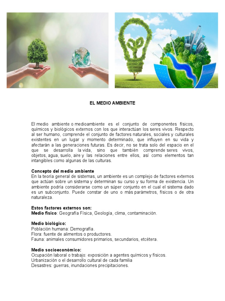 El Medio Ambiente Pdf
