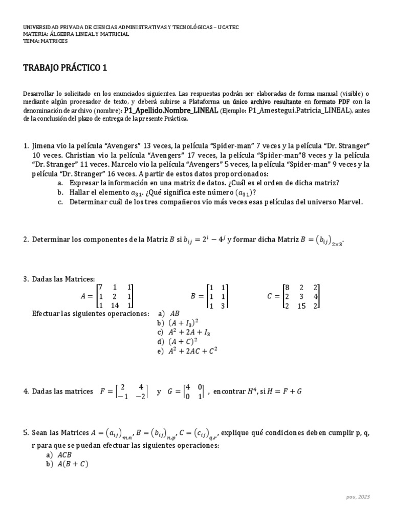 Mhvhg-Trabajo Practico 1 - Matrices | PDF | Matriz (Matemáticas) | Álgebra
