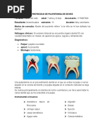 Extraccion de Restos Radiculares | PDF | Cirugía | Hueso
