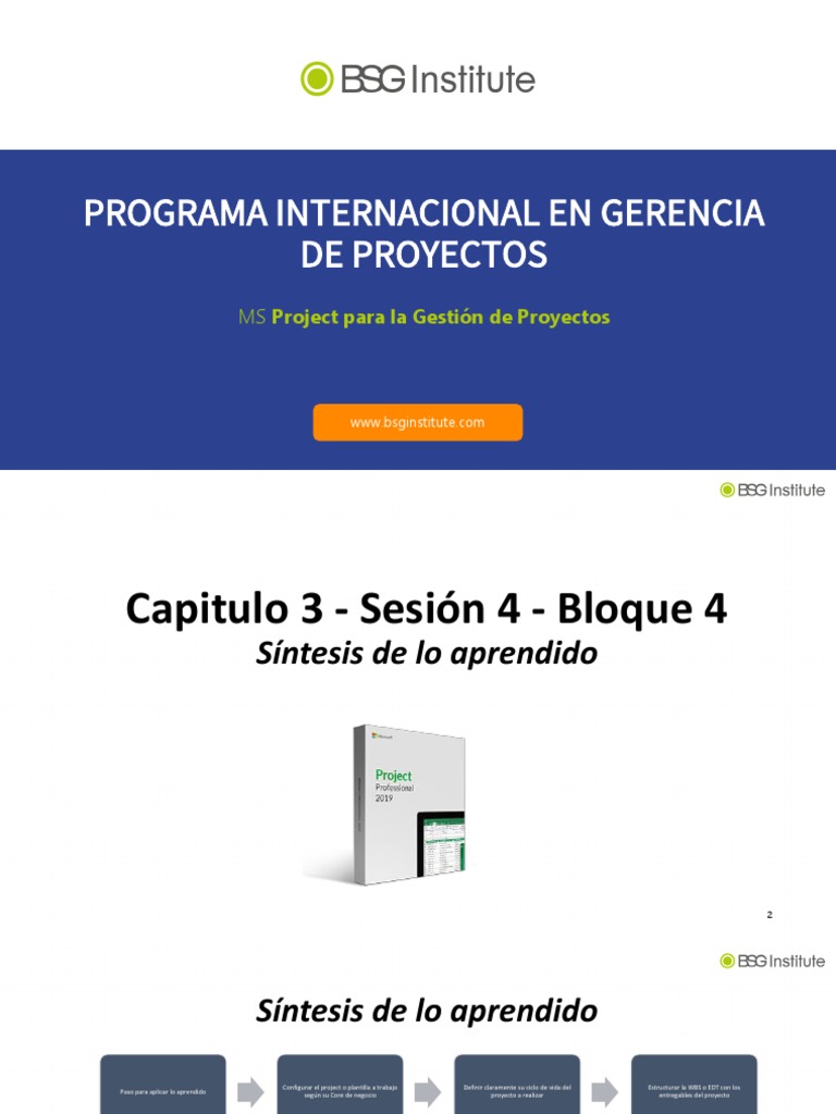 Programa Internacional en Gerencia de Proyectos: MS Project para La Gestión de Proyectos | PDF ...