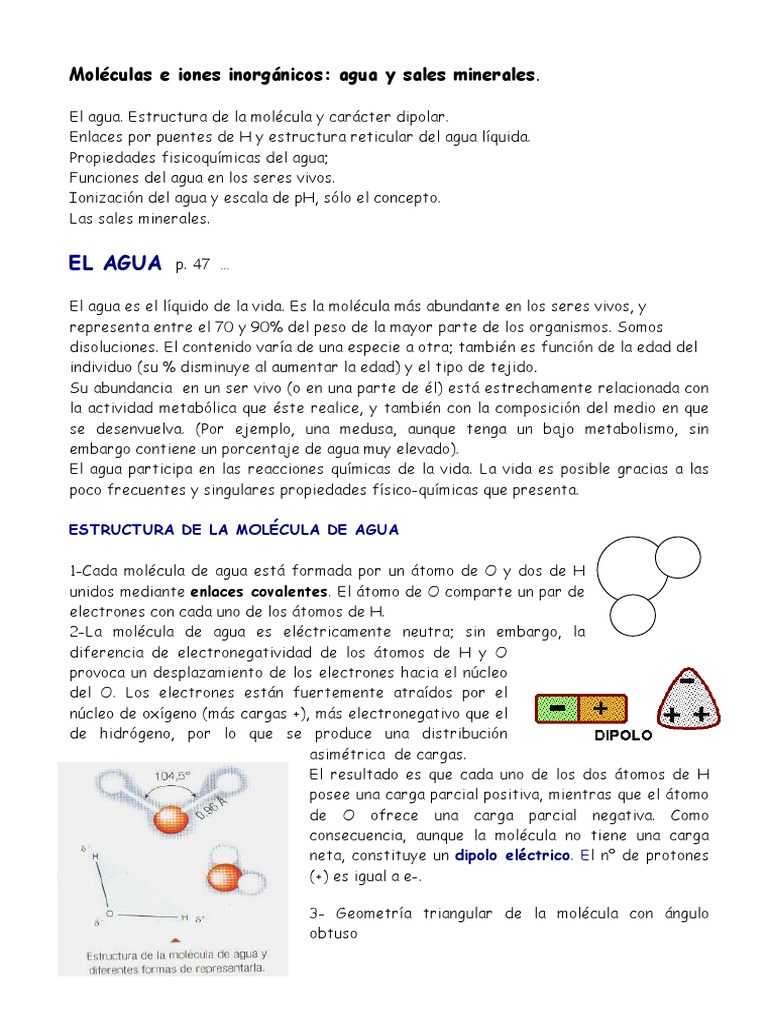 El Agua y Sus Propiedades Fisicoqu°micas | PDF | Propiedades del agua | Agua