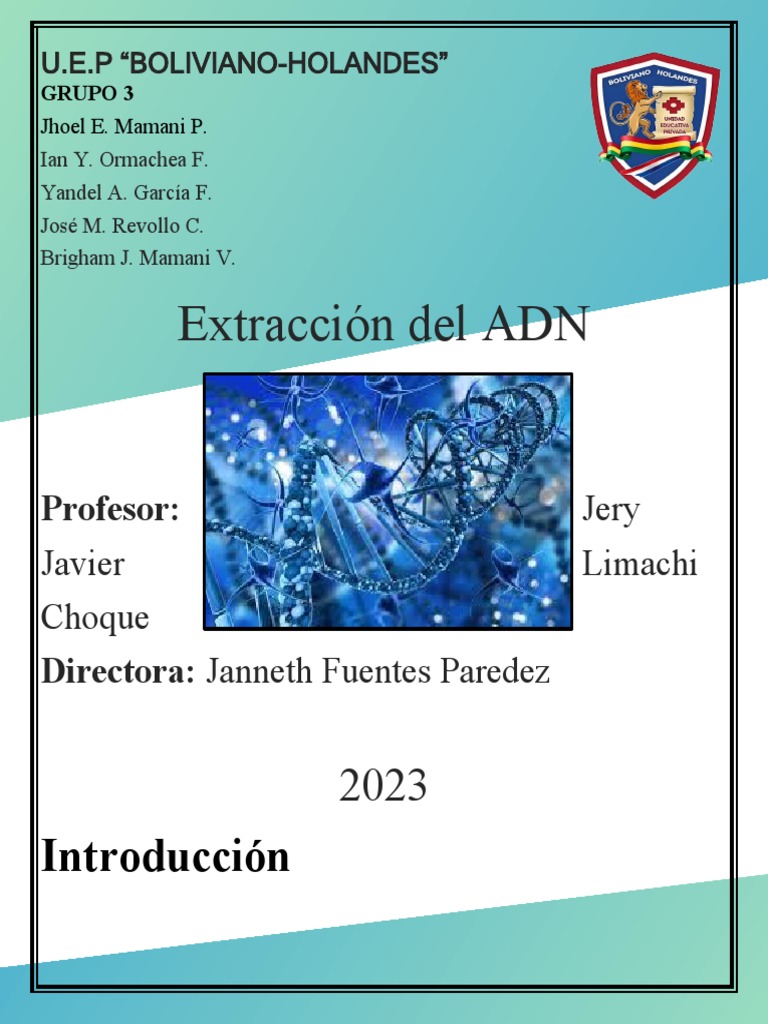 Informe de Extraccion Del Adn | PDF | Adn | Ácidos nucleicos