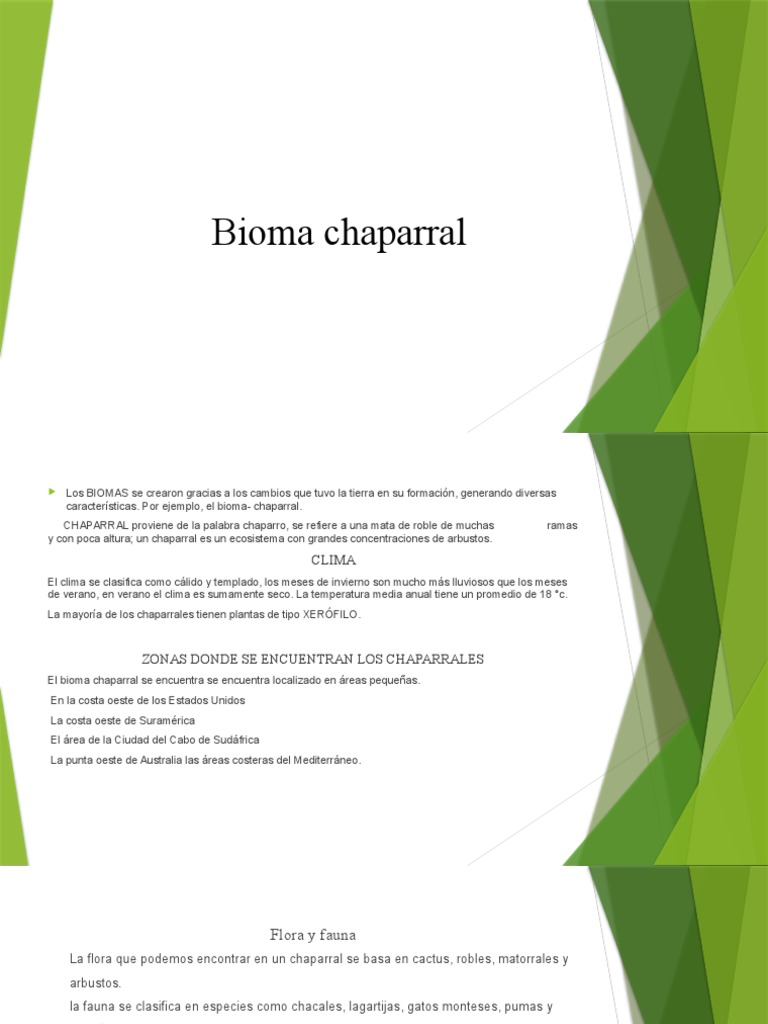 Bioma Chaparral (1) | PDF