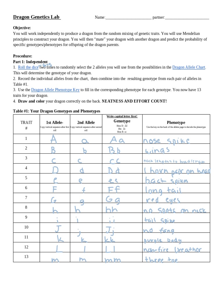 Dragon Genetics Lab-Part 1-Remote Ulv | PDF | Genotype | Allele