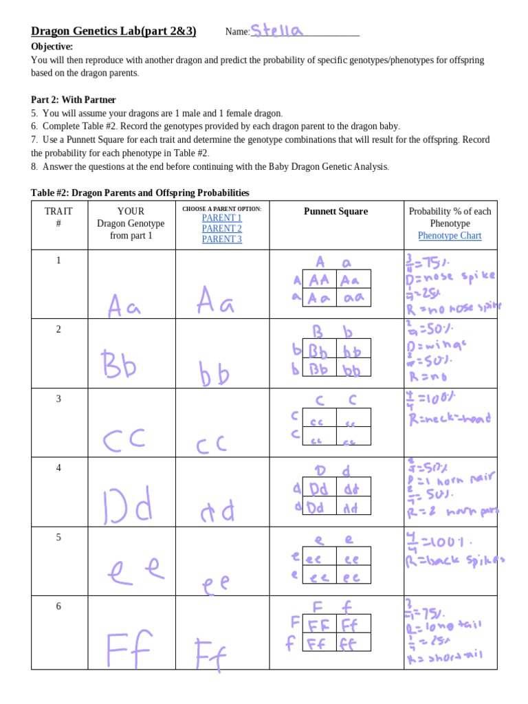 Dragon Genetics Lab-Part 2 & 3-Remote Ulv | PDF | Genotype | Zygosity