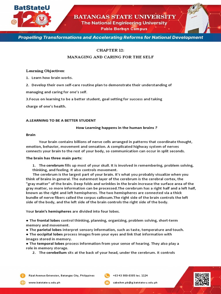 Understanding The Self Lesson 12 | PDF | Cerebral Hemisphere | Cerebrum