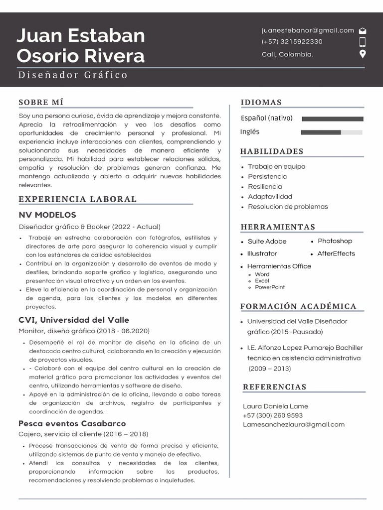 Curriculum Profesional Minimalista Sin Foto Blanco y Negro | PDF