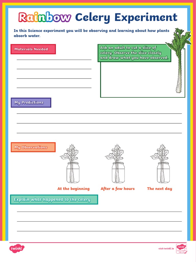 Rainbow Celery Experiment Worksheet | PDF