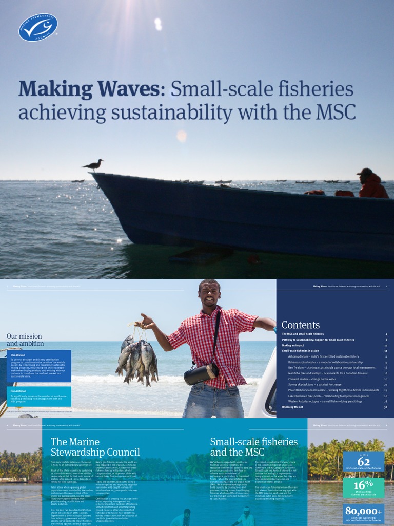 MSC Small Scale Fisheries Report 2019 | PDF | Fishery | Fish And Humans