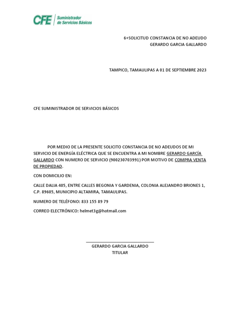 Solicitud Carta Cfe | PDF